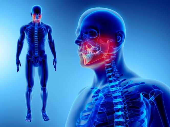 Rafe pterigomandibolare: che cos'è? La sua anatomia